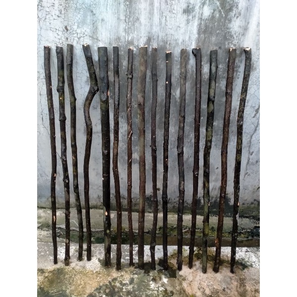 Jual tongkat kayu tas atau limpanas kalimantan | Shopee Indonesia