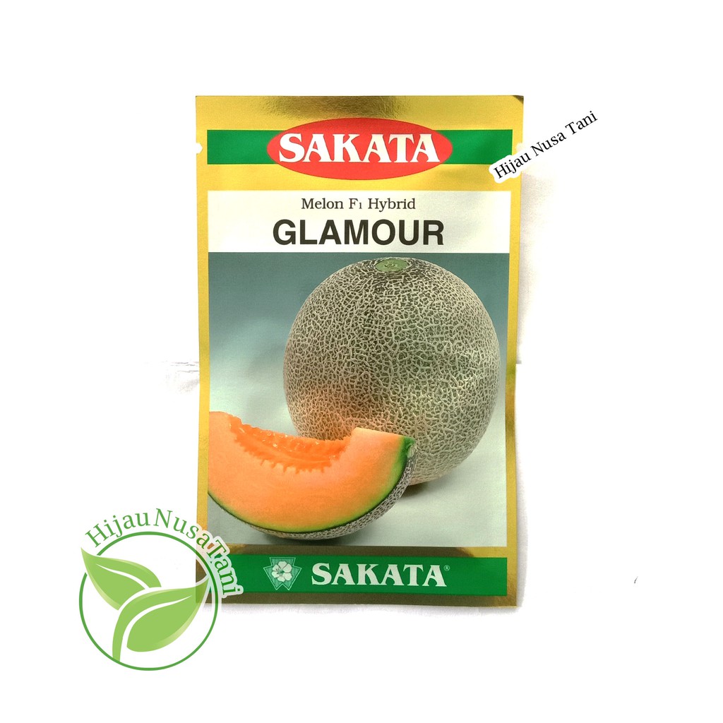 Jual Benih Melon GLAMOUR 100s SAKATA - Bibit Melon Jepang Melon Oren ...