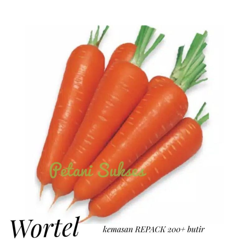 Jual (REPACK 200++ butir) bibit benih sayuran WORTEL KURODA EW kemasan ...