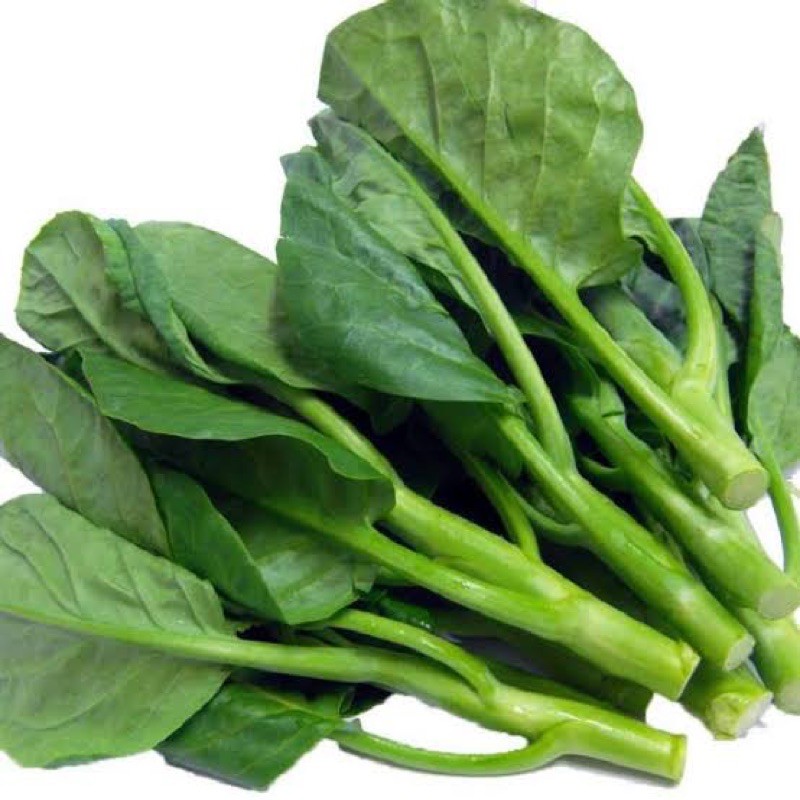 Jual Sayur baby kailan curled seeds 250gram | Shopee Indonesia