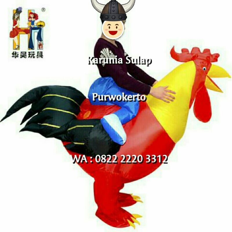 Jual KOSTUM AYAM JAGO LUCU KOSTUM ANGIN COSPLAY DEWASA PESTA ULTAH ...