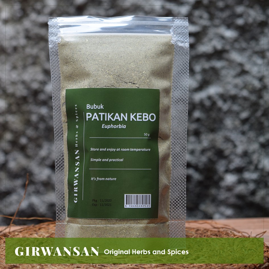 Jual Patikan Kebo Bubuk Original Asthma-plant Grade A Rempah Herbal ...