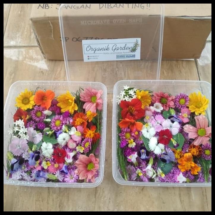 Jual TERBARUU!! edible flower COD | Shopee Indonesia