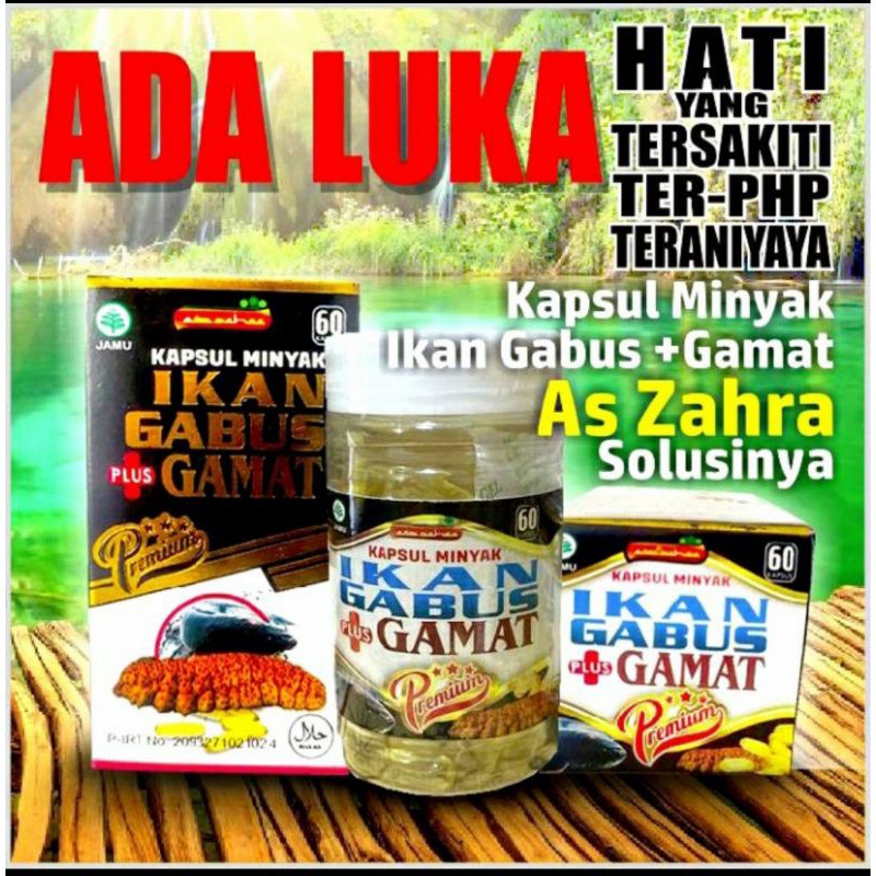 Jual Kapsul Minyak Ikan Gabus plus Gamat As Zahra - Kapsul Kutuk dan Gamat | Shopee Indonesia