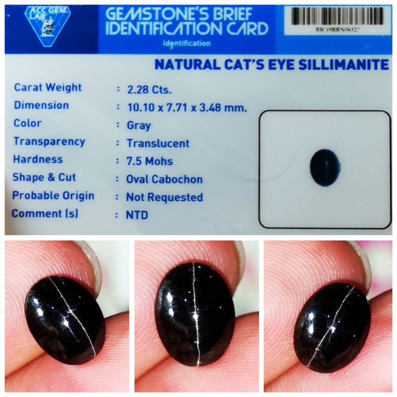 Jual Natural Cat Eye Sillimanite Ceylon Plus Memo Gems Lab Hot Star ...