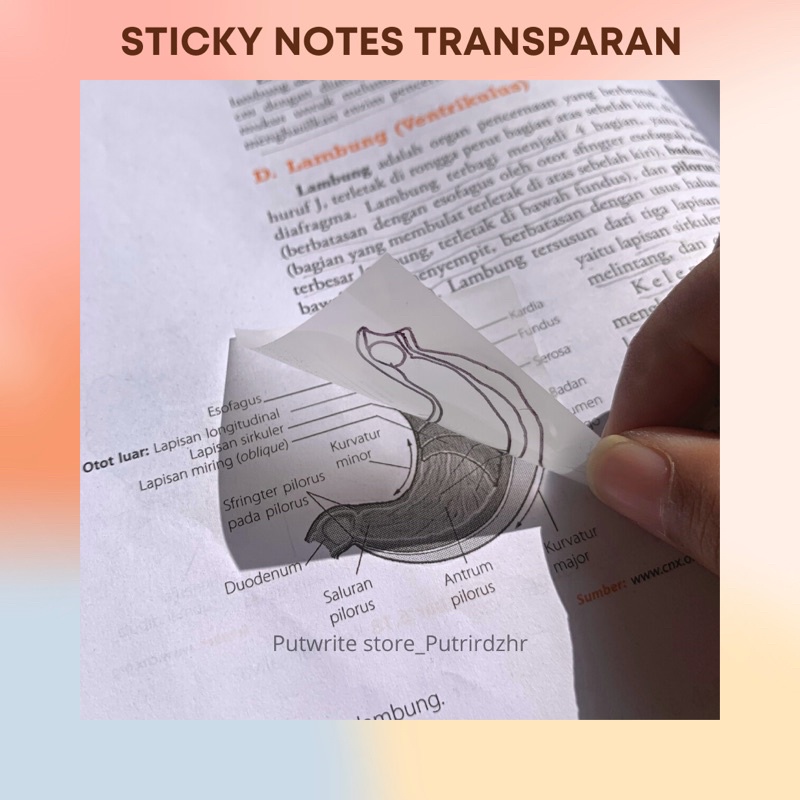 Jual Clear Sticky Notes Anti Air 50 pcs | Shopee Indonesia