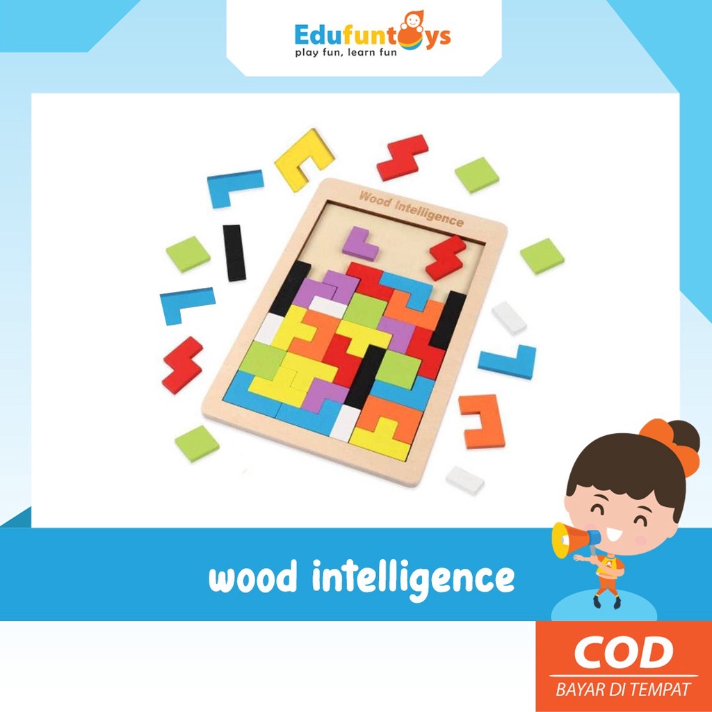 Jual [EFT] WOOD INTELLIGENCE/ russian block/ mainan edukasi kayu puzzle ...