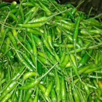 Jual Cabe Rawit Ijo caplak 250 gram 25.000 | Shopee Indonesia