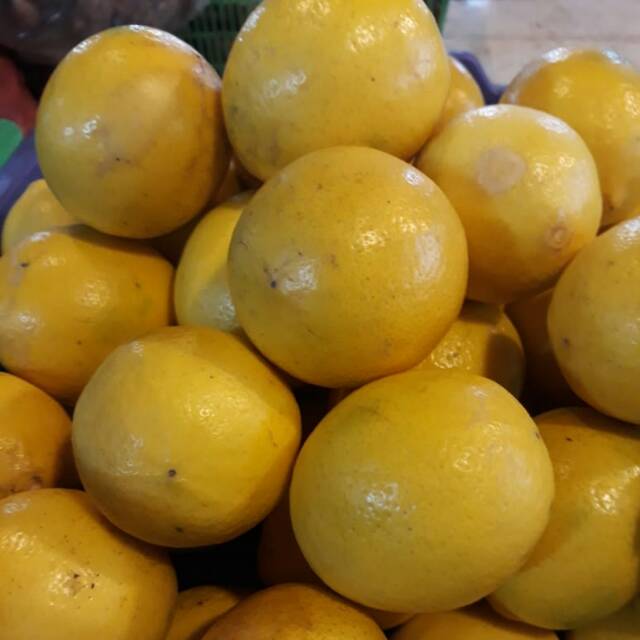 Jual Lemon Import 500gr | Shopee Indonesia