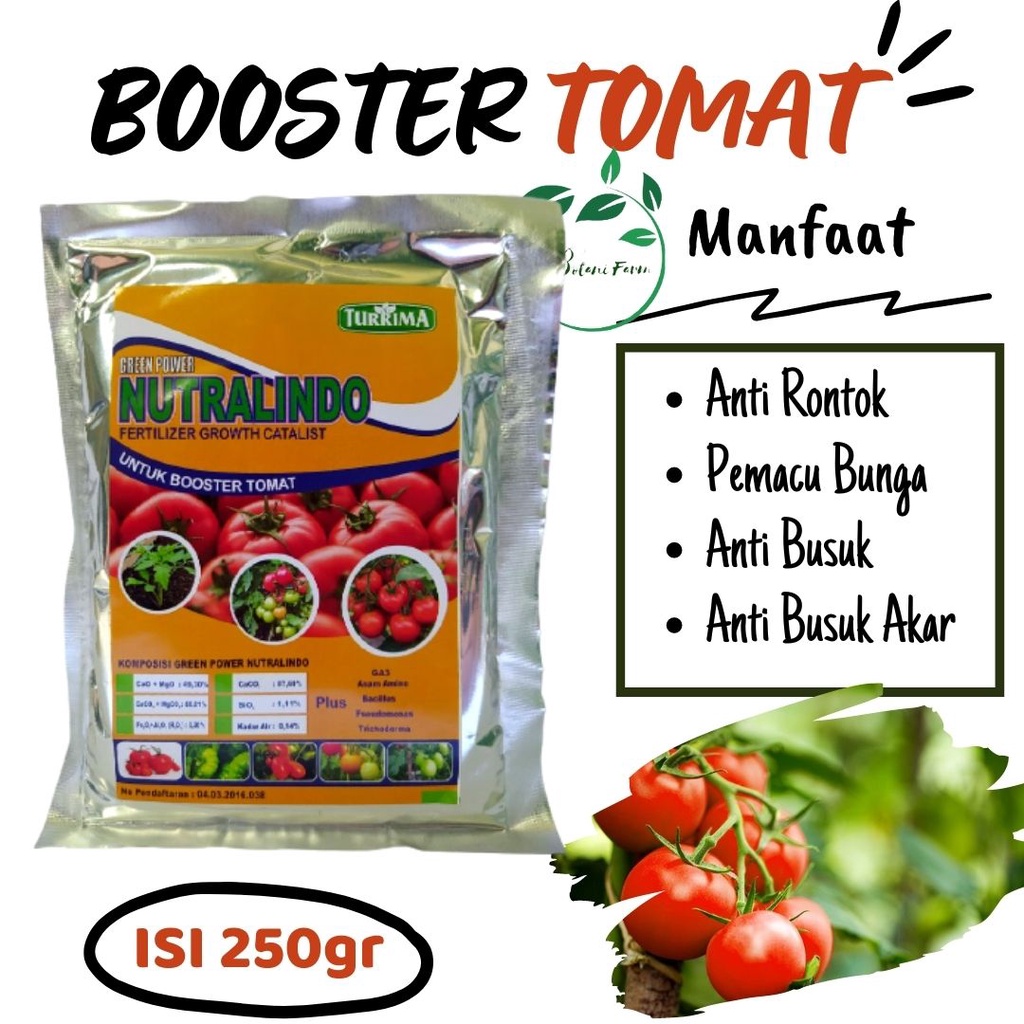 Jual Pupuk Perangsang Tomat Pembesar Buah, Nutrisi Tanaman Tomat Cepat Berbuah, Kalsium Bubuk ...