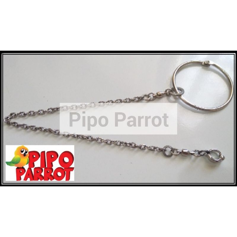 Jual Rantai Borgol untuk Small Parrot | Shopee Indonesia
