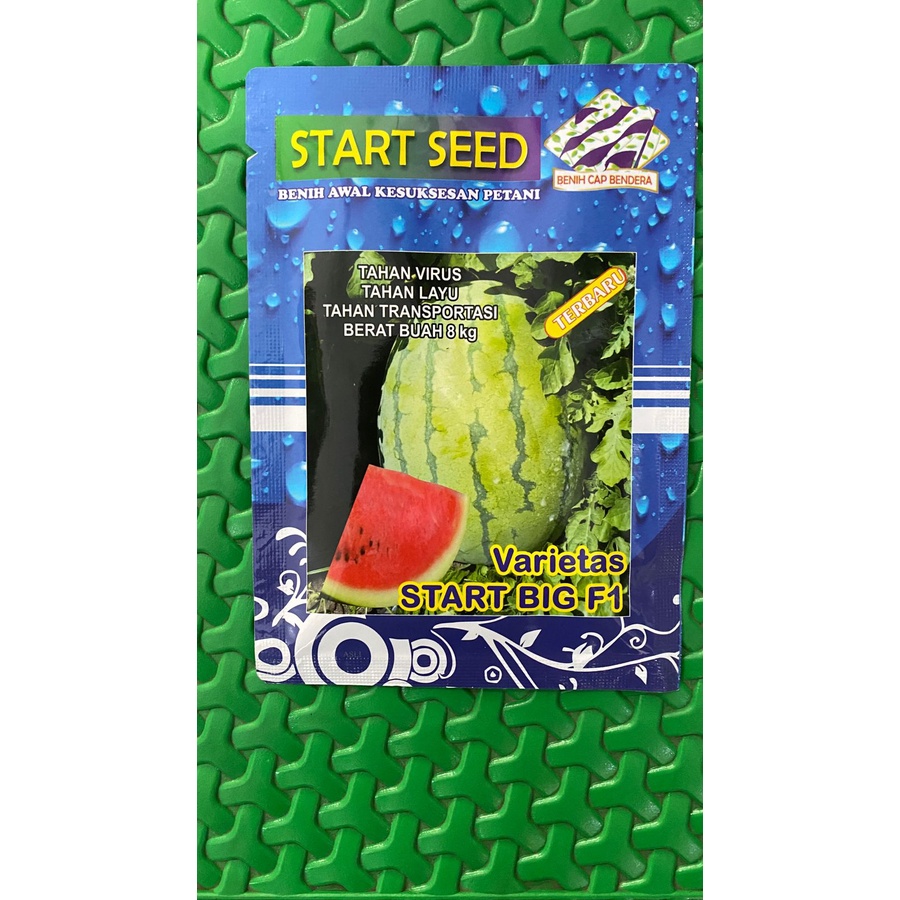 Jual Benih Semangka Varietas START BIG F1 isi 20 grm Dari Start Seed ...