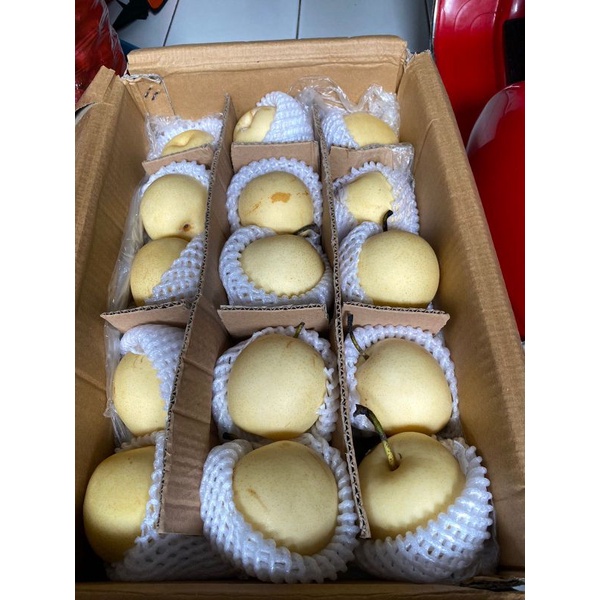 Jual Buah Pear/pir century 1 Dus Import | Shopee Indonesia