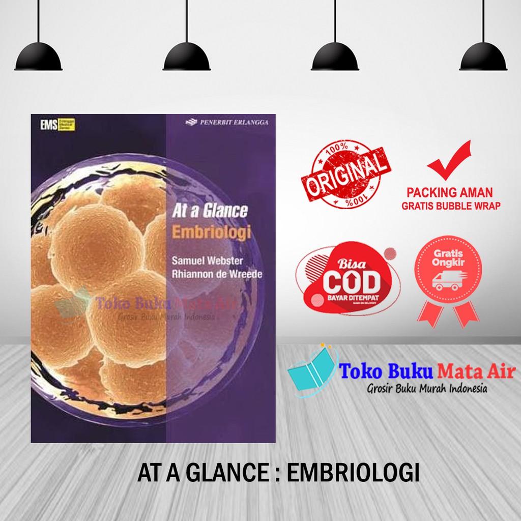 Jual BEST SELLER ORIGINAL AT A GLANCE : EMBRIOLOGI SAMUEL ERLANGGA ...
