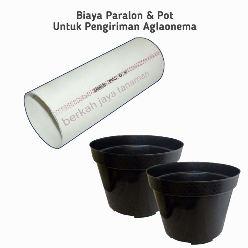 Jual Biaya Paralon & Pot (untuk pengiriman Aglaonema) | Shopee Indonesia