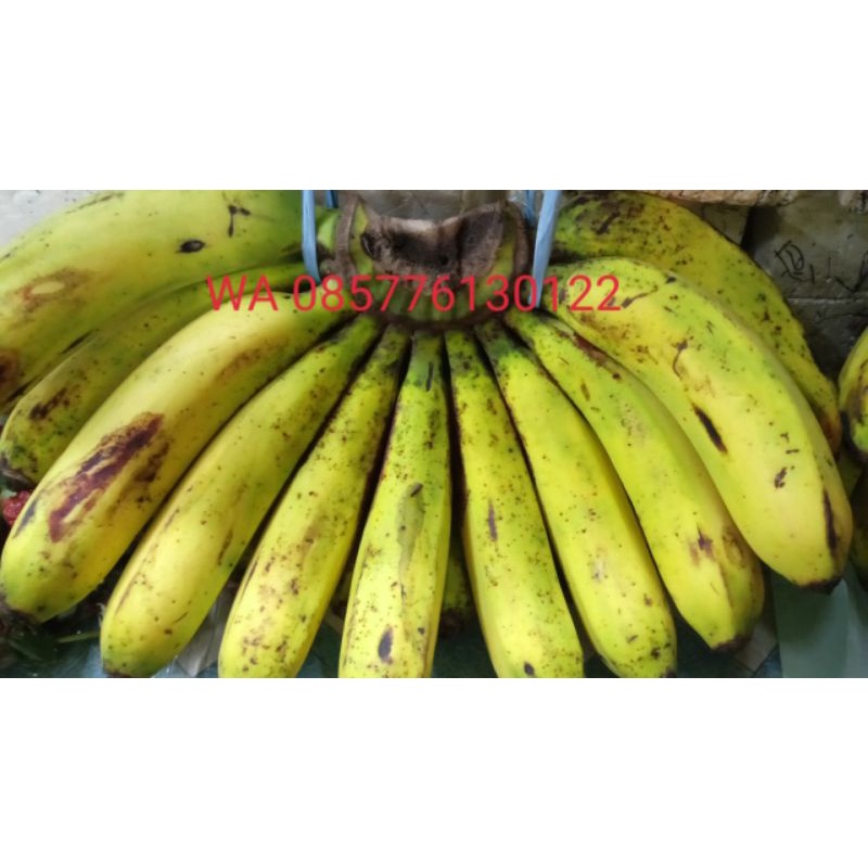Jual Pisang Barangan / pisang medan _ 1 sisir | Shopee Indonesia