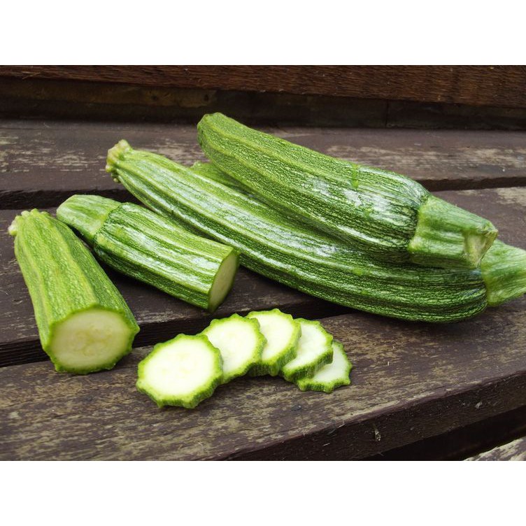 Jual Courgette Romanesco 3 Biji (Benih Biji Bibit Tanaman Sayur Sayuran ...