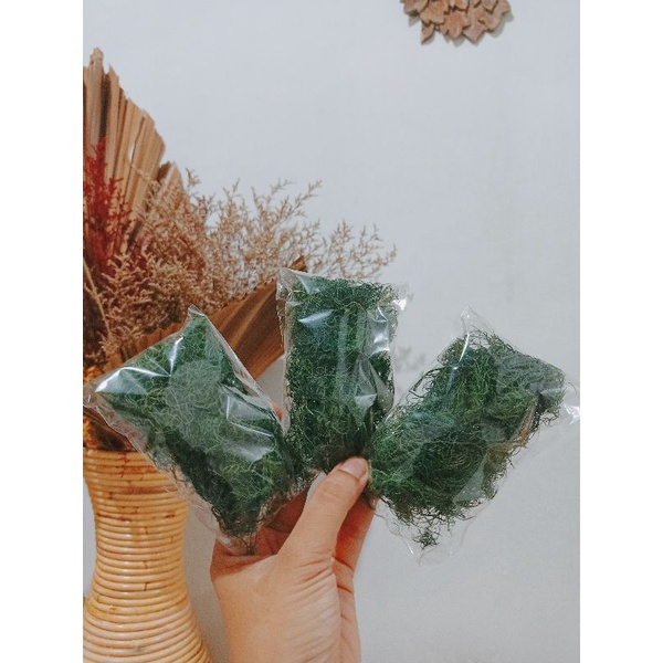 Jual akar wangi, akar angin, kayu angin, bahan mahar 10gram | Shopee ...