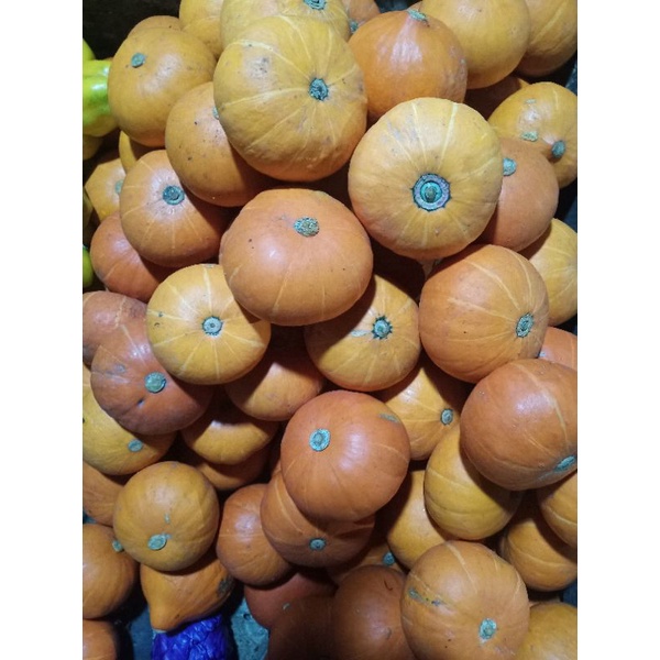 Jual Labu Kuning 1 kg fresh. | Shopee Indonesia