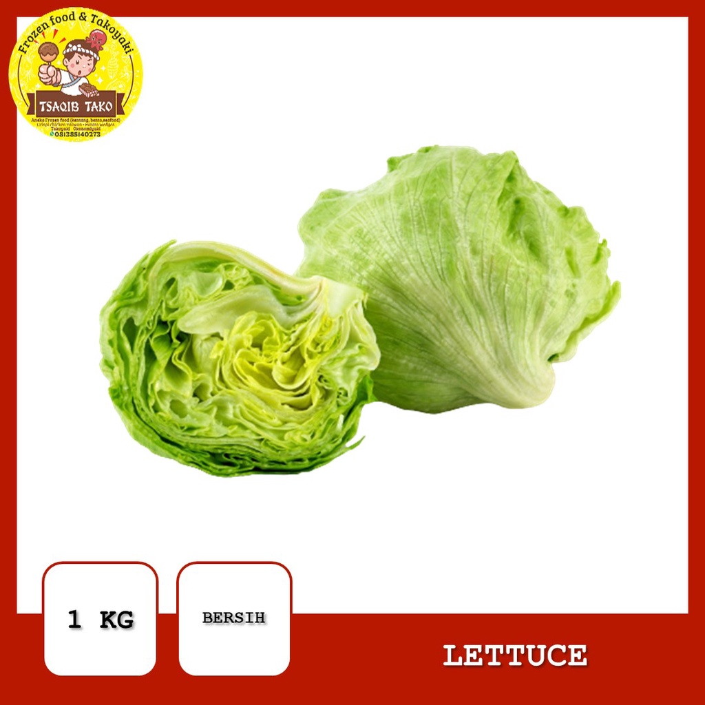 Jual PROMO Lettuce head 1KG - 1KG | Shopee Indonesia