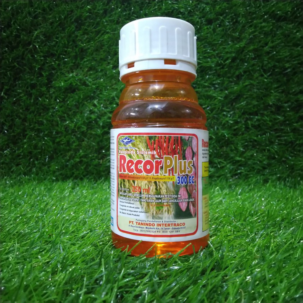 Jual Fungisida Recor Plus 300 EC 250 ml/fungisida sistemik/untuk ...
