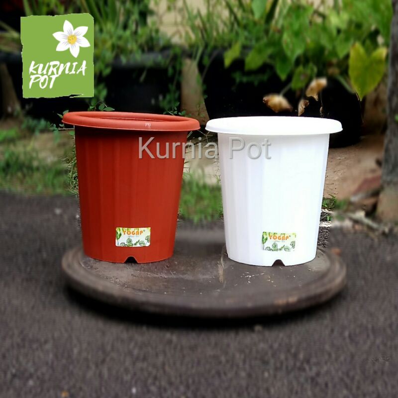 Jual Pot Tanaman Bunga Yogap 15 Tinggi Aneka Warna | Shopee Indonesia