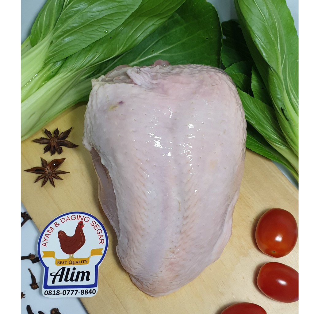 Jual Dada Mentok - Fresh Chicken Breast | Shopee Indonesia