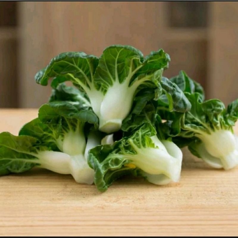 Jual Benih Sayur Sawi NAI BAI - Baby Pakcoy ( 50 Gram ) | Shopee Indonesia