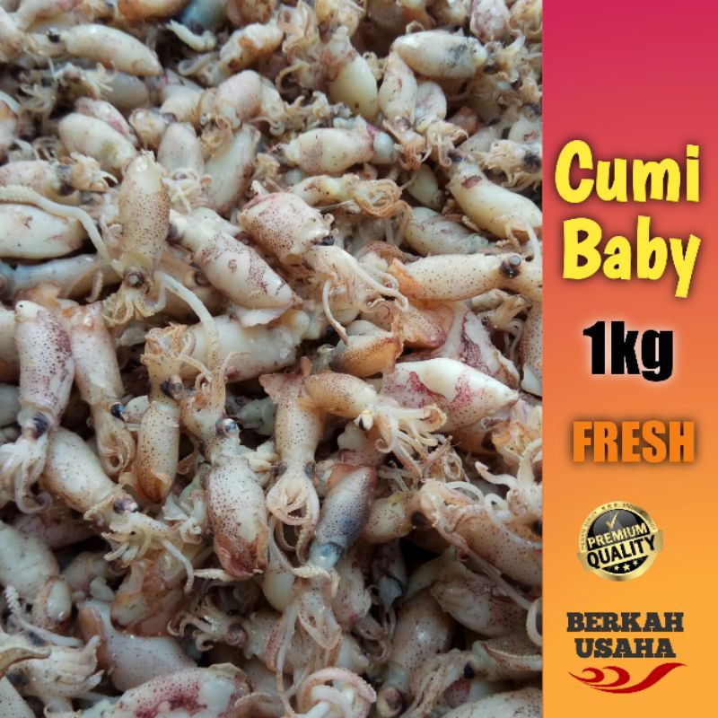 Jual BABY CUMI ASIN 1kg 1-2cm 2-3cm 3-4cm Kering 80% IKAN ASIN MURAH ...
