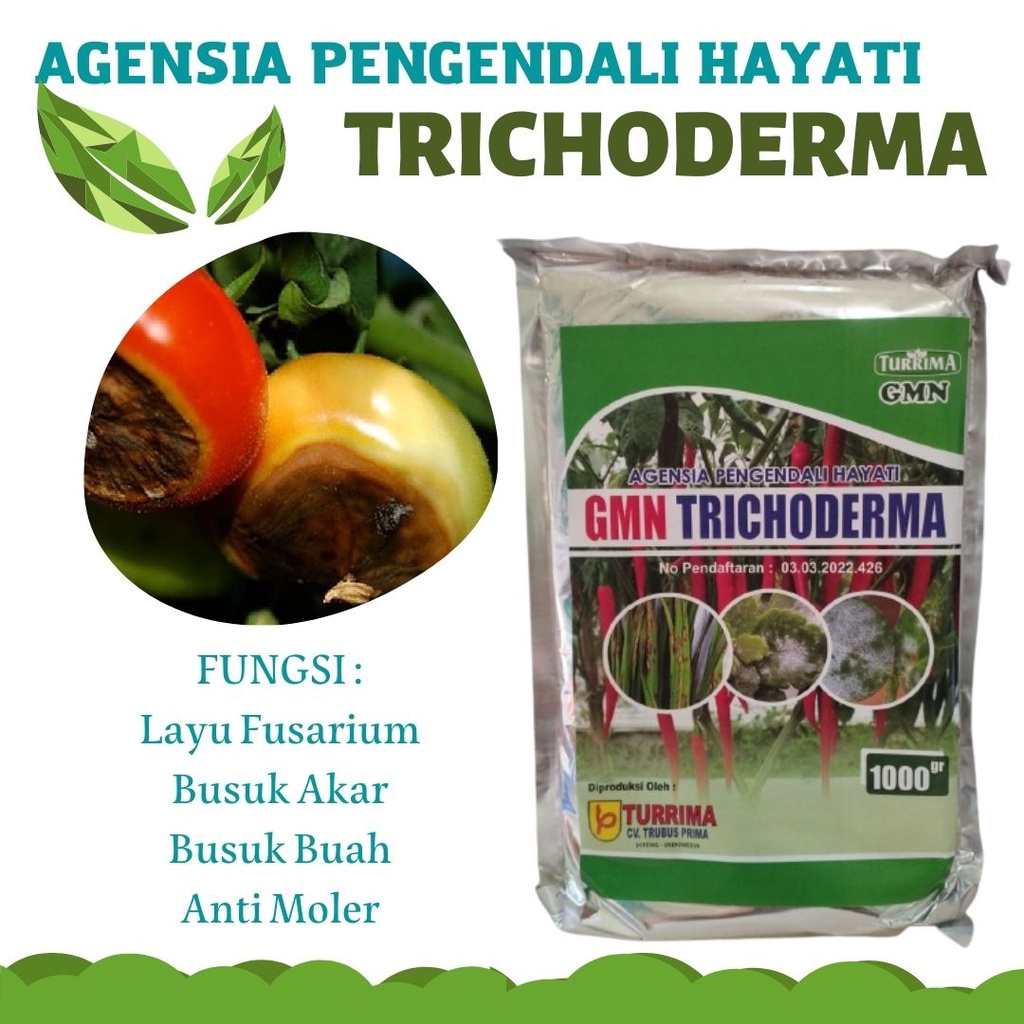 Jual Pupuk Trichoderma Padat Cegah Busuk Buah, Tricoderma Pengendali ...