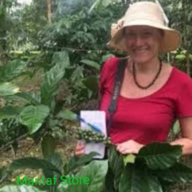 Jual Biji Benih KOPI LIBERIKA /kopi Dewevrei/ Kopi Nangka UNGGUL ... Jual Biji Benih KOPI LIBERIKA /kopi Dewevrei/ Kopi Nangka UNGGUL ...