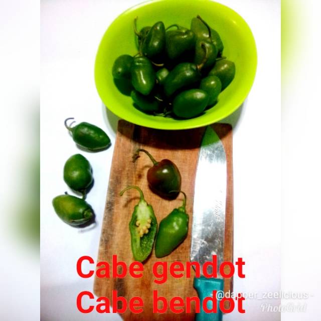 Jual Cabe Gendot 500gr - Cabe Bendot asli Garut | Shopee Indonesia