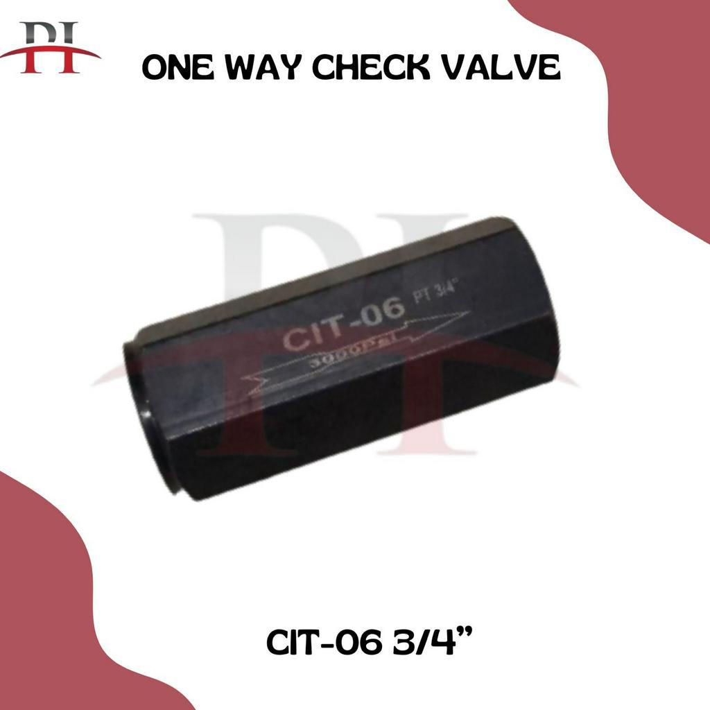 Jual ONE WAY CHECK VALVE CIT-06 3/4 INCH | Shopee Indonesia