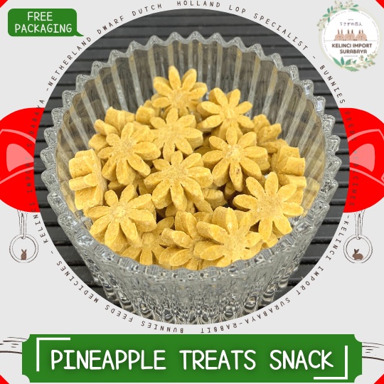 Jual SNACK BINTANG Treats Kelinci Guinea Pig - PINEAPPLE FLAVOUR ...