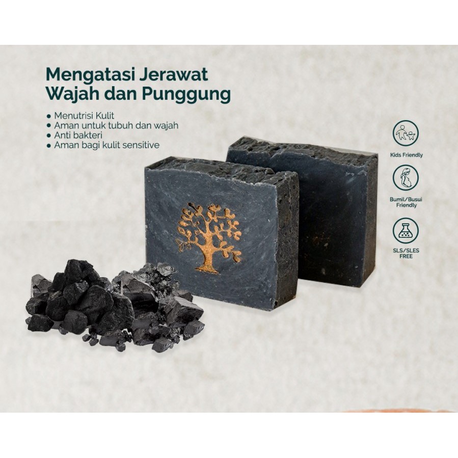Jual BioTalk Sabun Natural Herbal Detox Soap / Charcoal soap Kulit ...