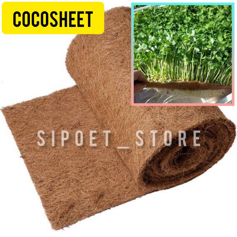 Jual Coco sheet serabut kelapa cocosheet untuk mikrogen vivarium uk 50 ...