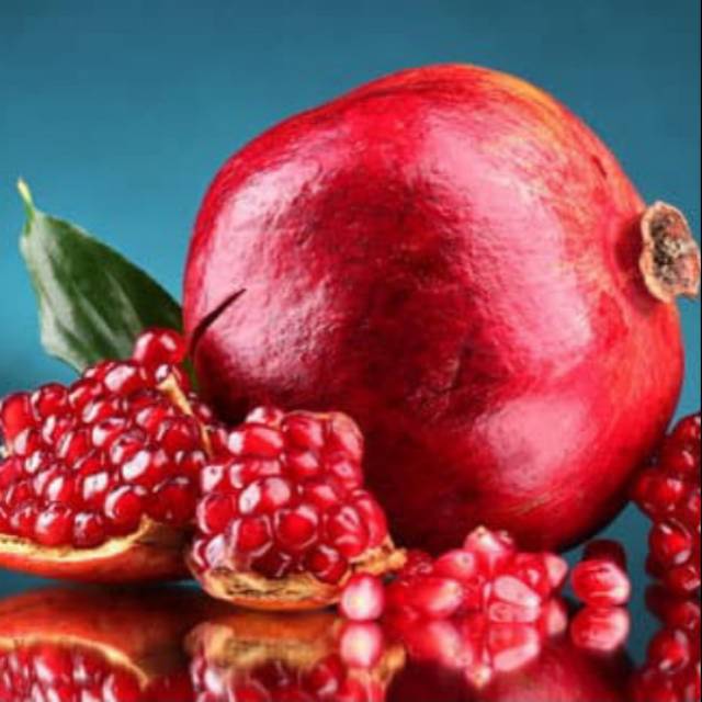 Jual 5 butir Biji benih buah delima merah | Shopee Indonesia