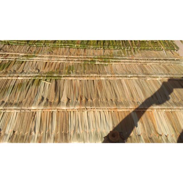 Jual Atap rumbia. Welit. Gazebo | Shopee Indonesia