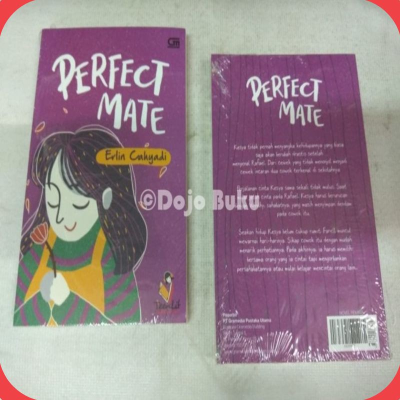 Jual Buku TeenLit: Perfect Mate ( Erlin Cahyadi ) [ORIGINAL] | Shopee ...