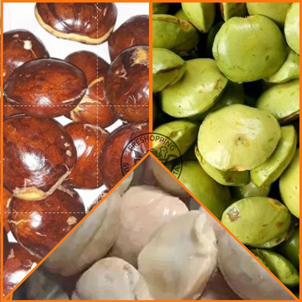 Jual Jengkol & jengkol muda 250gr | Shopee Indonesia