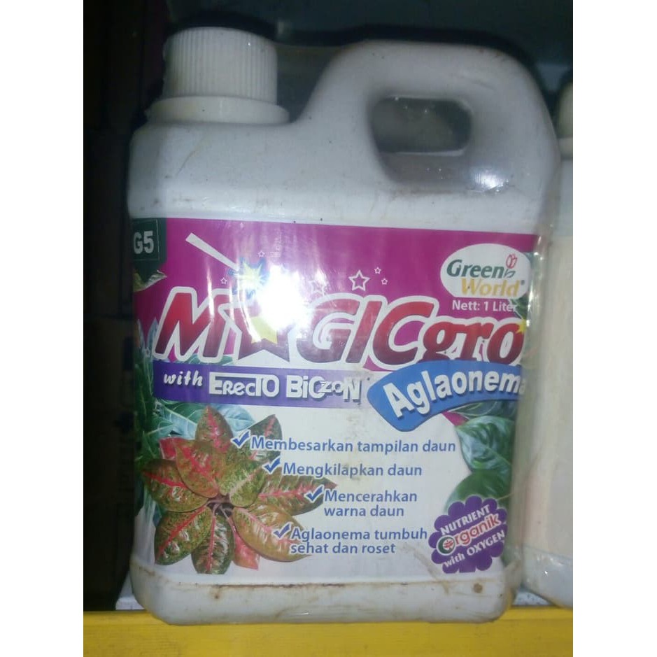 Jual Pupuk Magicgro Aglaonema G5 1Liter | Shopee Indonesia