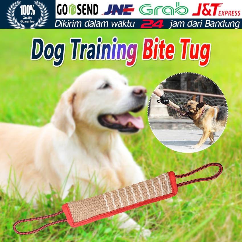 Jual Mainan Gigit Anjing / Mainan Anjing Besar / Pet Bite Tug / Dog ...