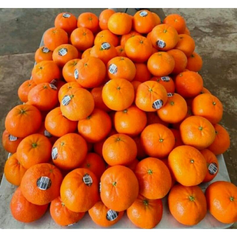 Jual Jeruk mandarin 1 kg | Shopee Indonesia