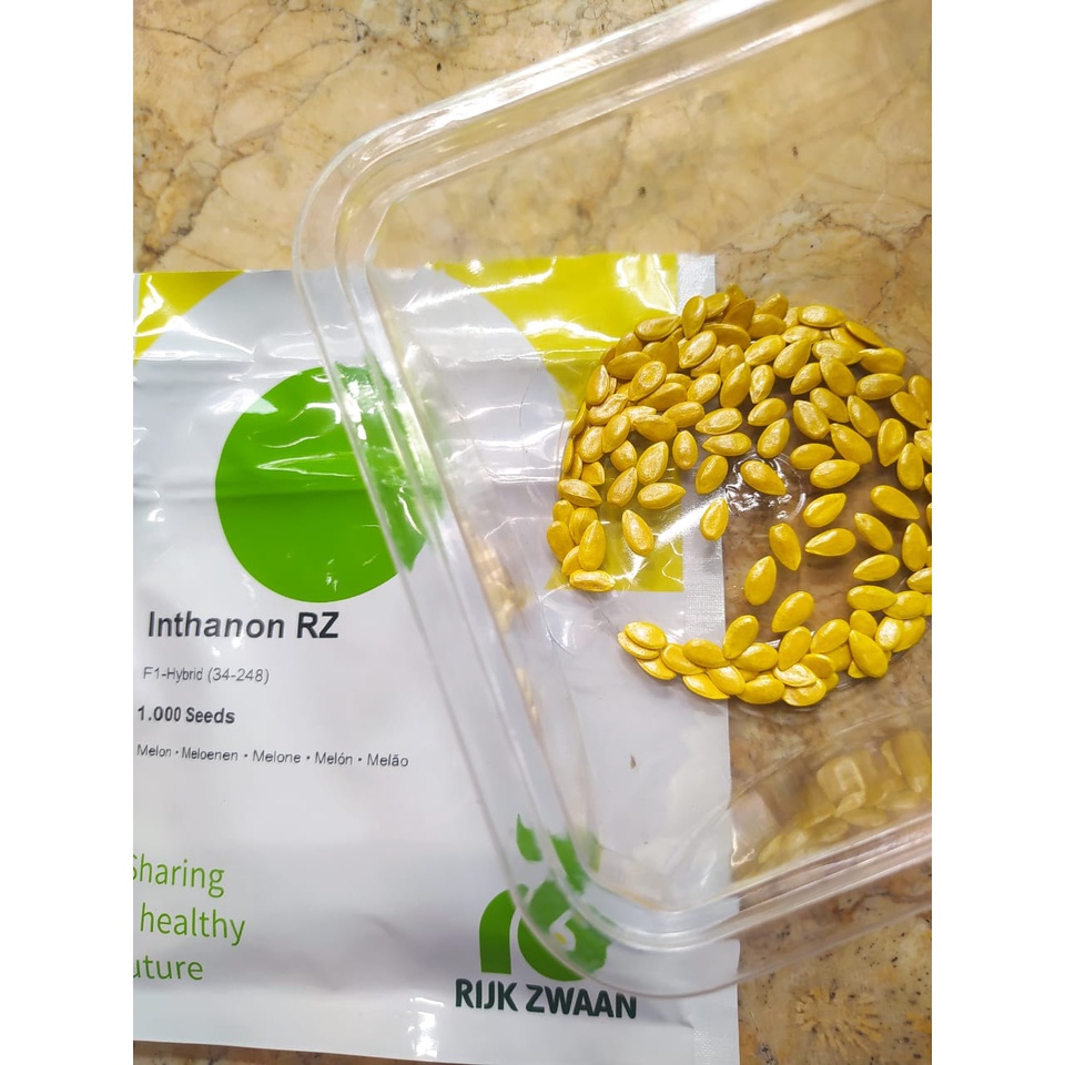 Jual Bibit Benih Melon RZ Inthanon Import Belanda Repack isi 10pcs ...