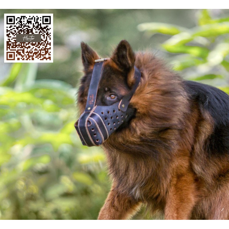 Jual HECTOR Nicole Leather Dog Muzzle Brongsong Brangus Anjing Herder ...