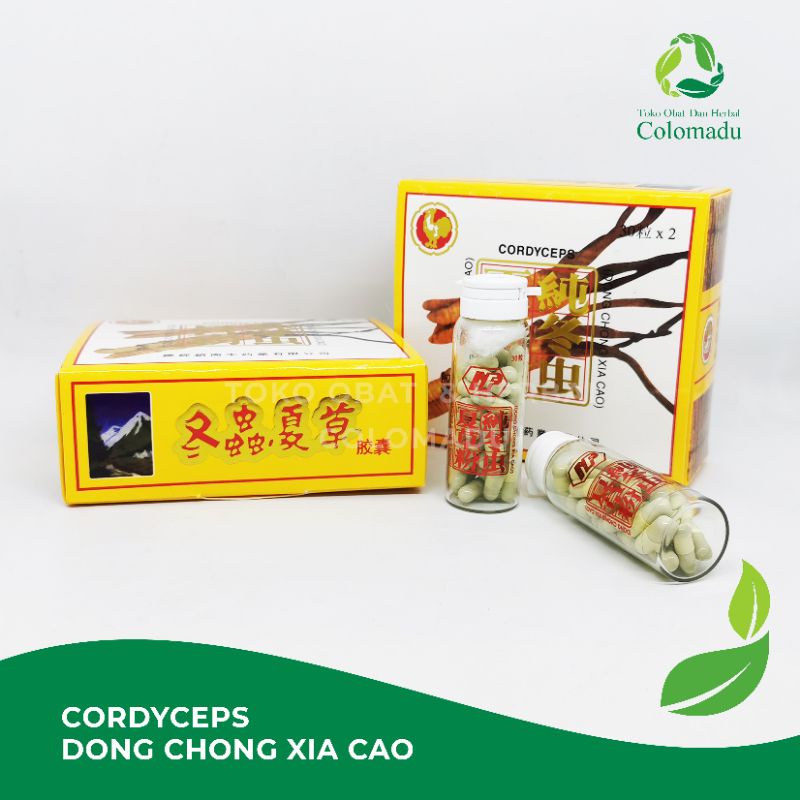 Jual CORDYCEPS - DONG CHONG XIA CAO CAPSULES | Shopee Indonesia