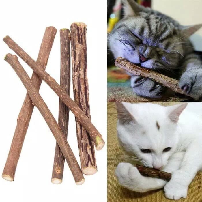 Jual RATUDELI CATNIP STICK MATABI - Catnip Snack Makanan Kucing Kitten ...