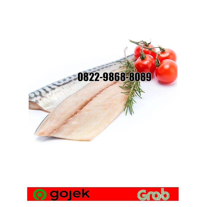 Jual FILLET SABA / FILLET MACKEREL / FILLET MACKEREL 1 PCS | Shopee ...