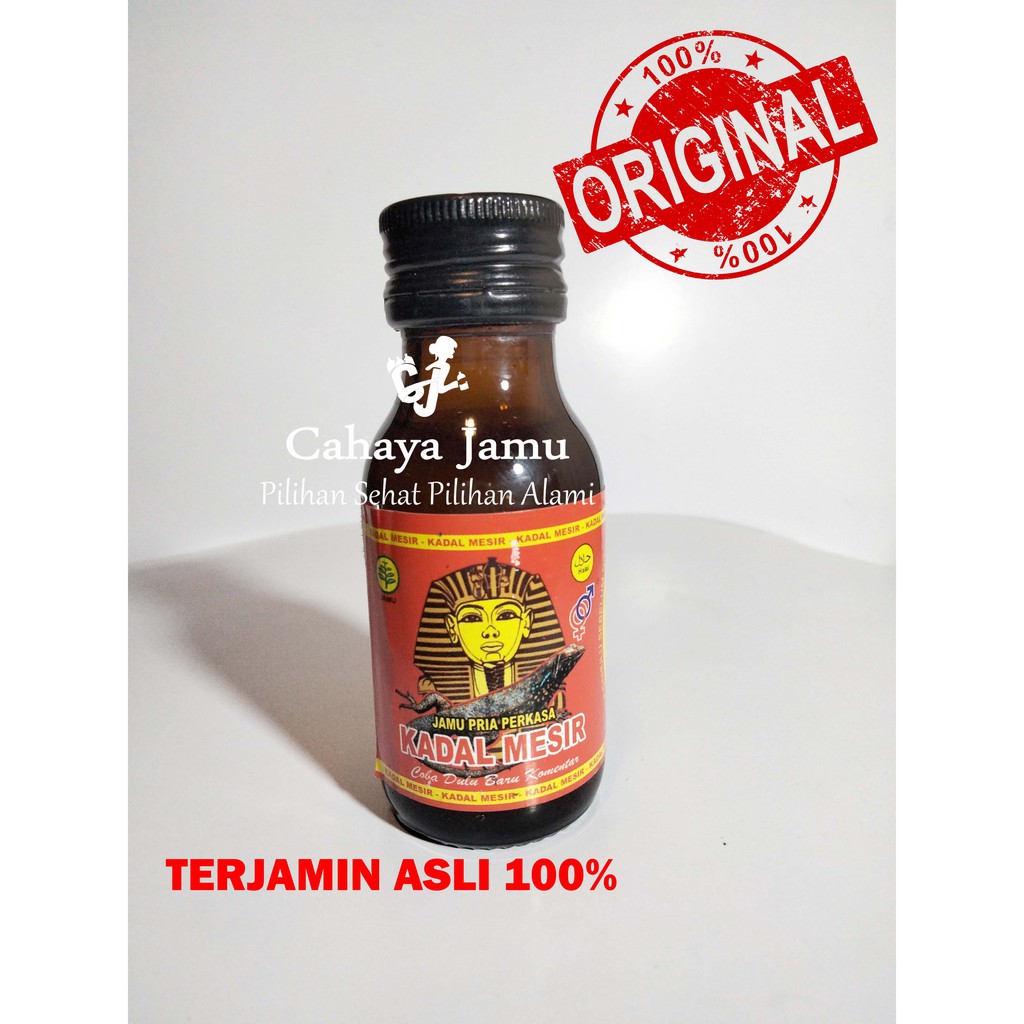 Jual JAMU KUAT HERBAL pria perkasa Kadal Mesir | Shopee Indonesia