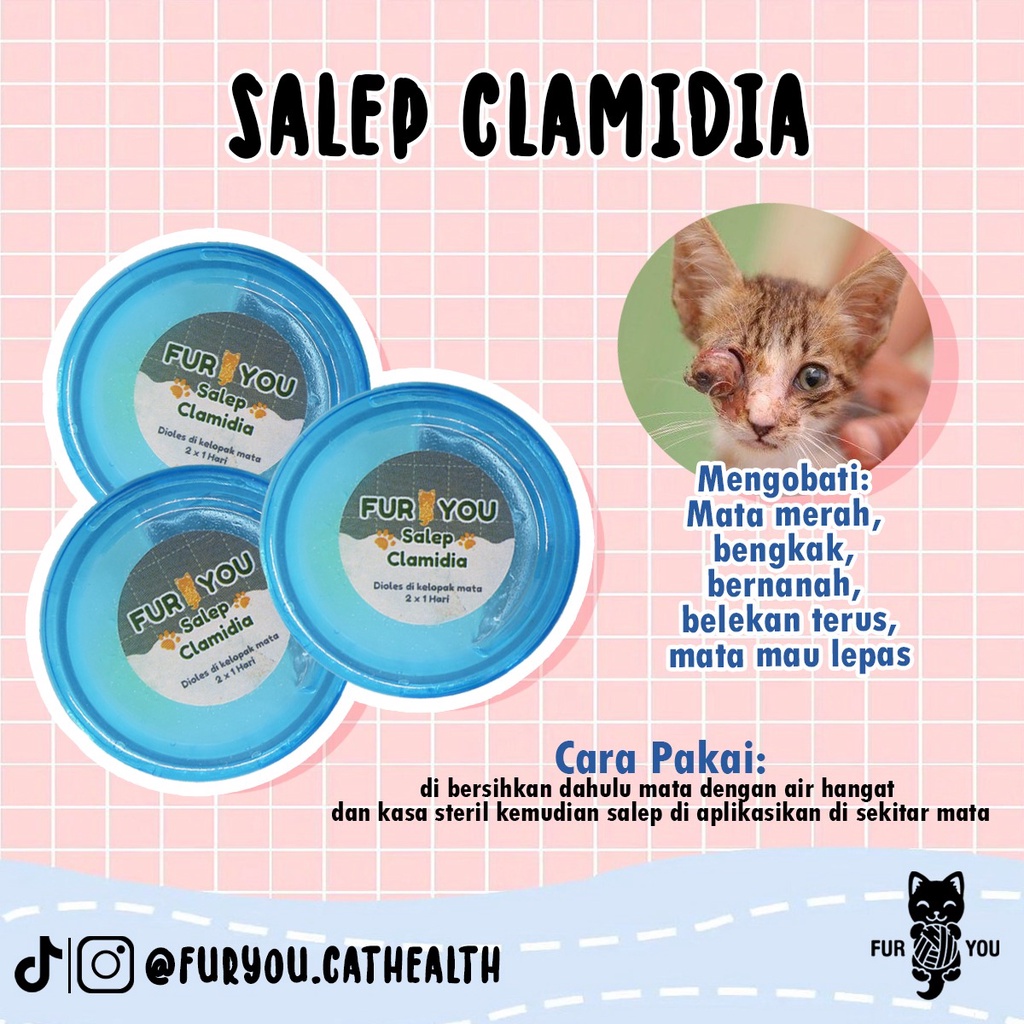 Jual salep mata clamidia salep mata kucing clamidya | Shopee Indonesia